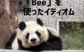 覚えておきたい「bee」を使ったイディオムのフレーズ7選