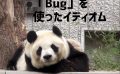 「bug」を使ったイディオムと覚えておきたいフレーズ6選
