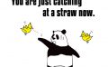 英語のイディオム：catch at a strawの意味と使い方