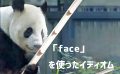 「顔／face」を使ったイディオム12選