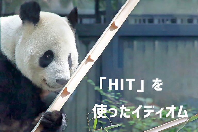 英語のイディオム：hit the hayの意味と使い方 | eigo-lab(えいごラボ）