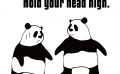 英語のイディオム：hold one’s head highの意味と使い方