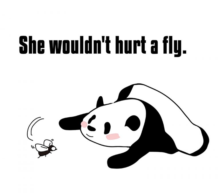 英語のイディオム：wouldn’t hurt a flyの意味と使い方 | eigo-lab(えいご研）