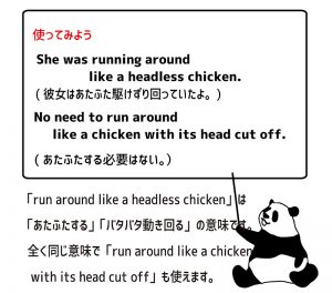 run around like a headless chickenの意味と使い方 | eigo-lab(えいご研）