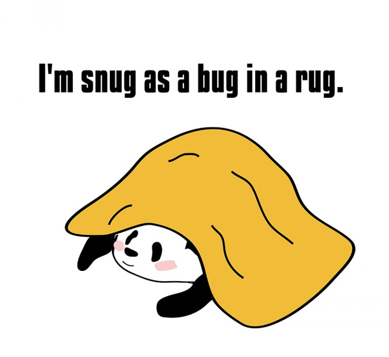 as snug as a bug (in a rug)の意味と使い方 | eigo-lab(えいご研）